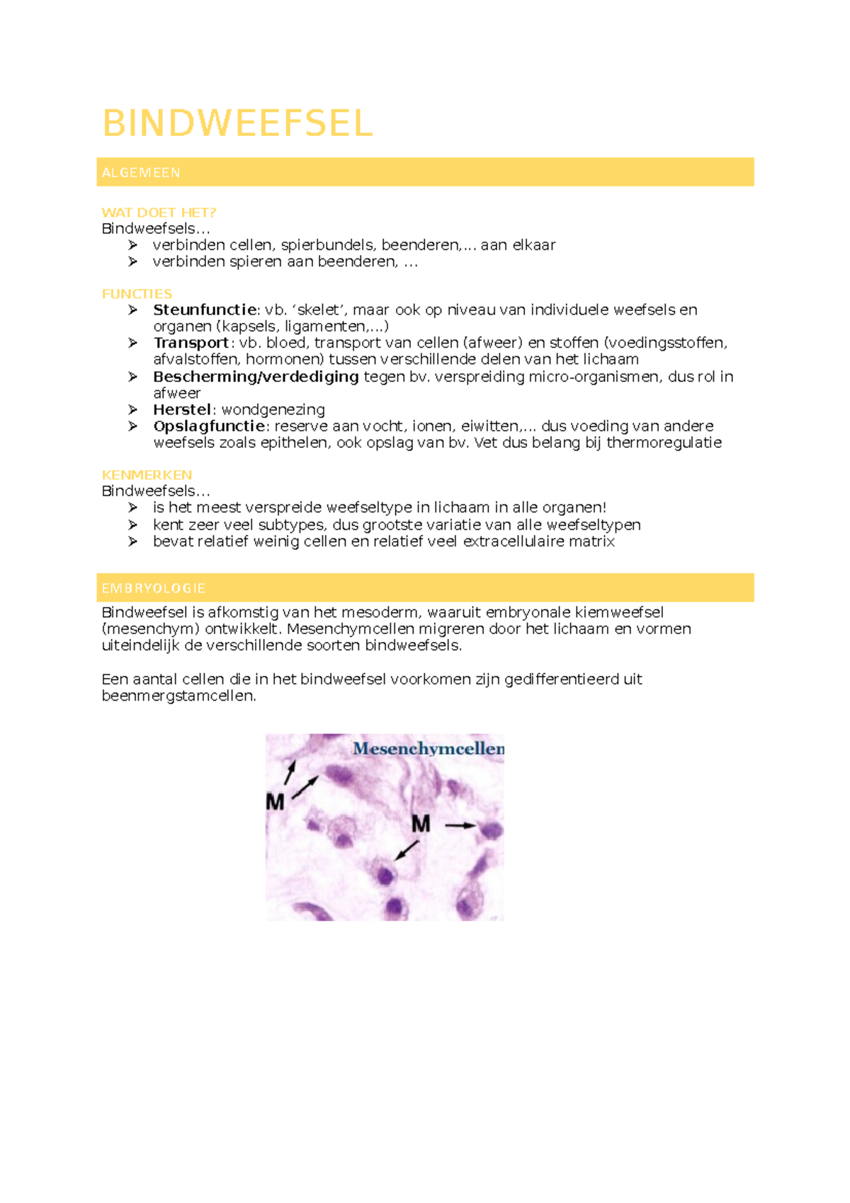 Bindweefsel - dit is een samenvatting van de stick en de powerpoint ...