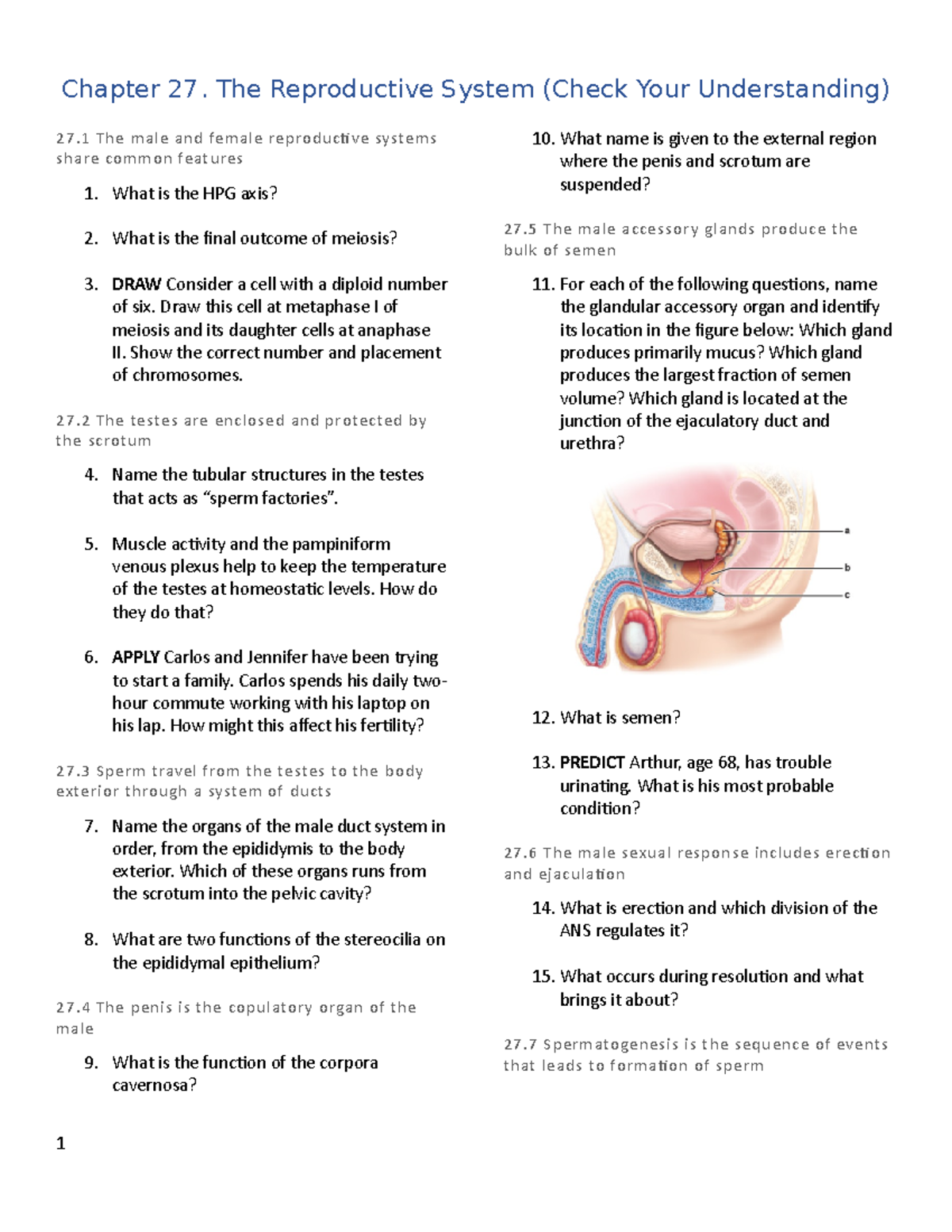 BIOM1060 Textbook - Check Your Understanding (Chap. 27) - Chapter 27 ...