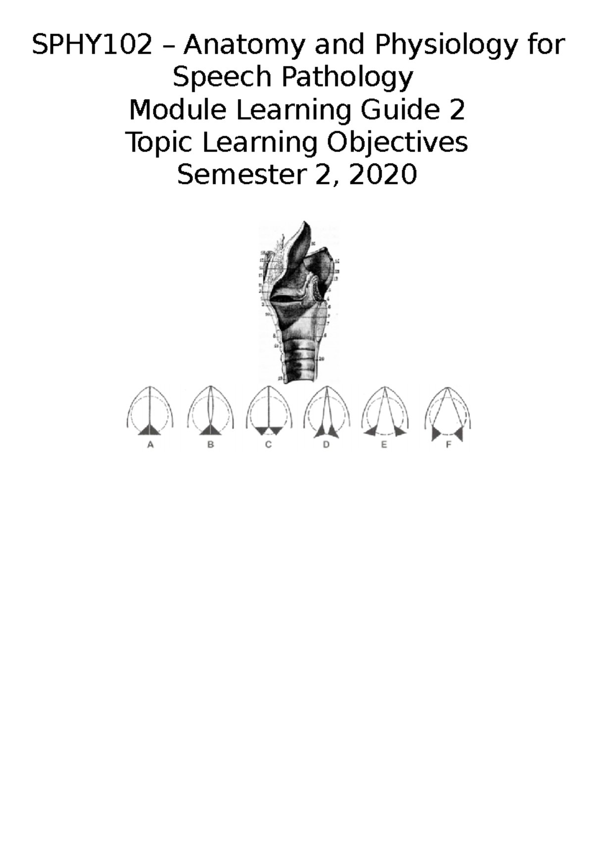 SPHY102 Notes Module 2 - SPHY102 – Anatomy and Physiology for Speech ...