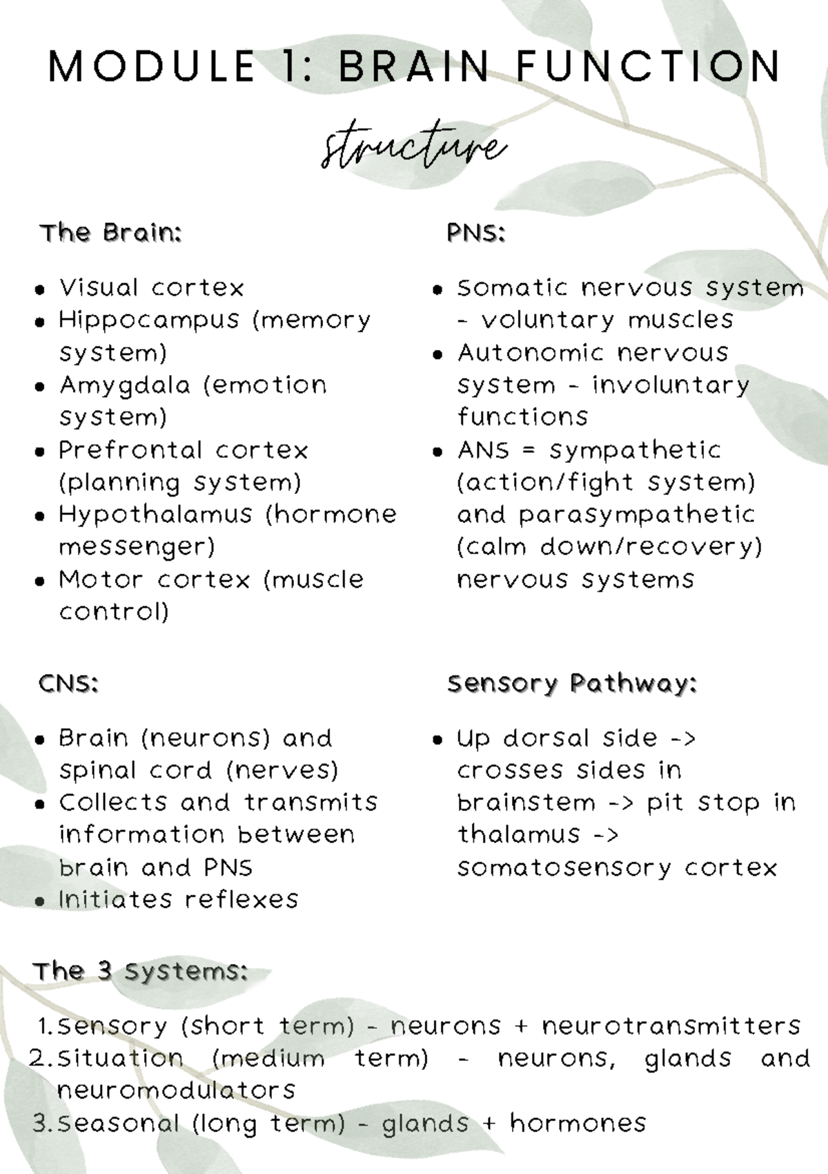 Psychology Summary - structure M O D U L E 1 : B R A I N F U N C T I O ...