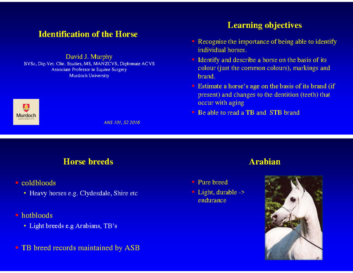 Identification of the Horse 2016 - Identification of the Horse David J ...