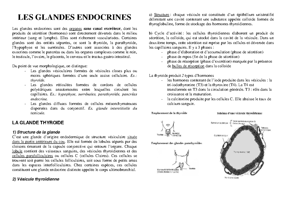 Polycop TP n°2 - Biologie animale - LES GLANDES ENDOCRINES Les glandes ...