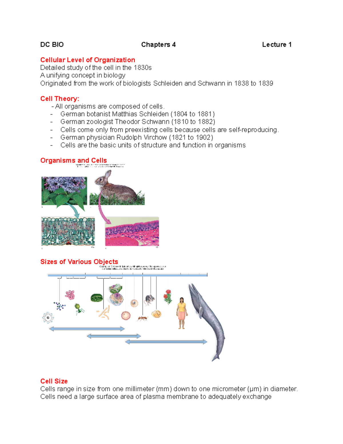 Dcbio Chapter 4 Lecture 1 - DC BIO Chapters 4 Lecture 1 Cellular Level ...