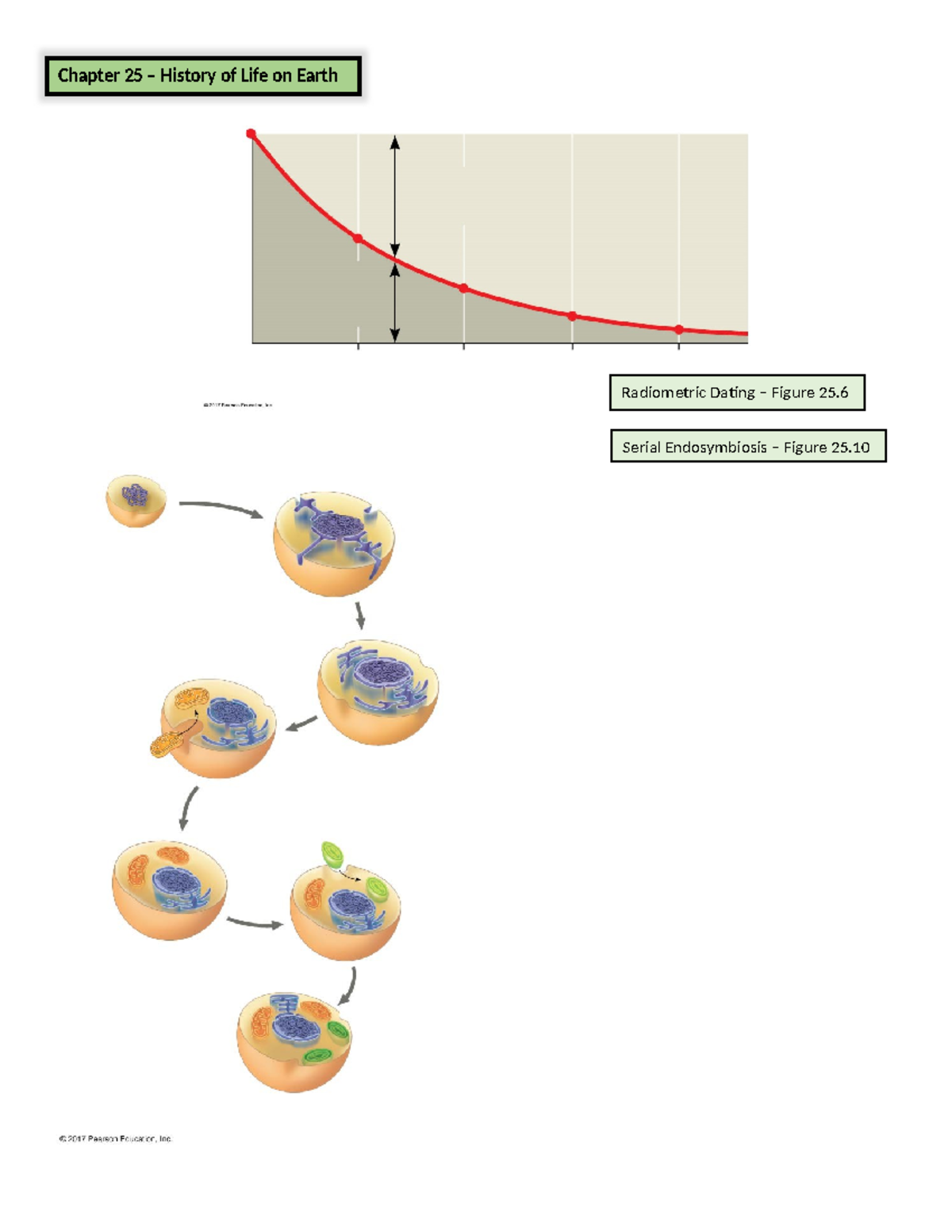 Chapter 25 History of Life on Earth - BIO-182 - Chapter 25 – History of ...