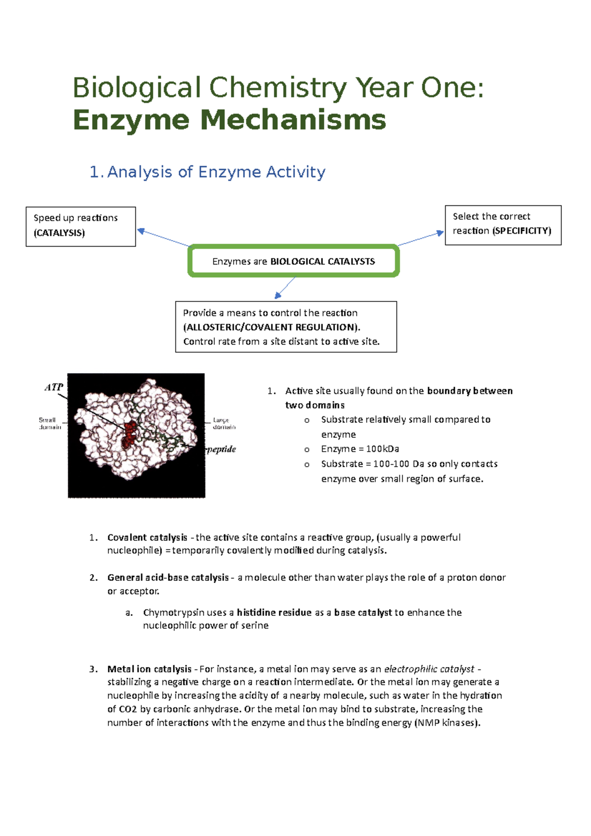 Enzyme Mechanisms Notes - Biological Chemistry Year One: Enzyme ...
