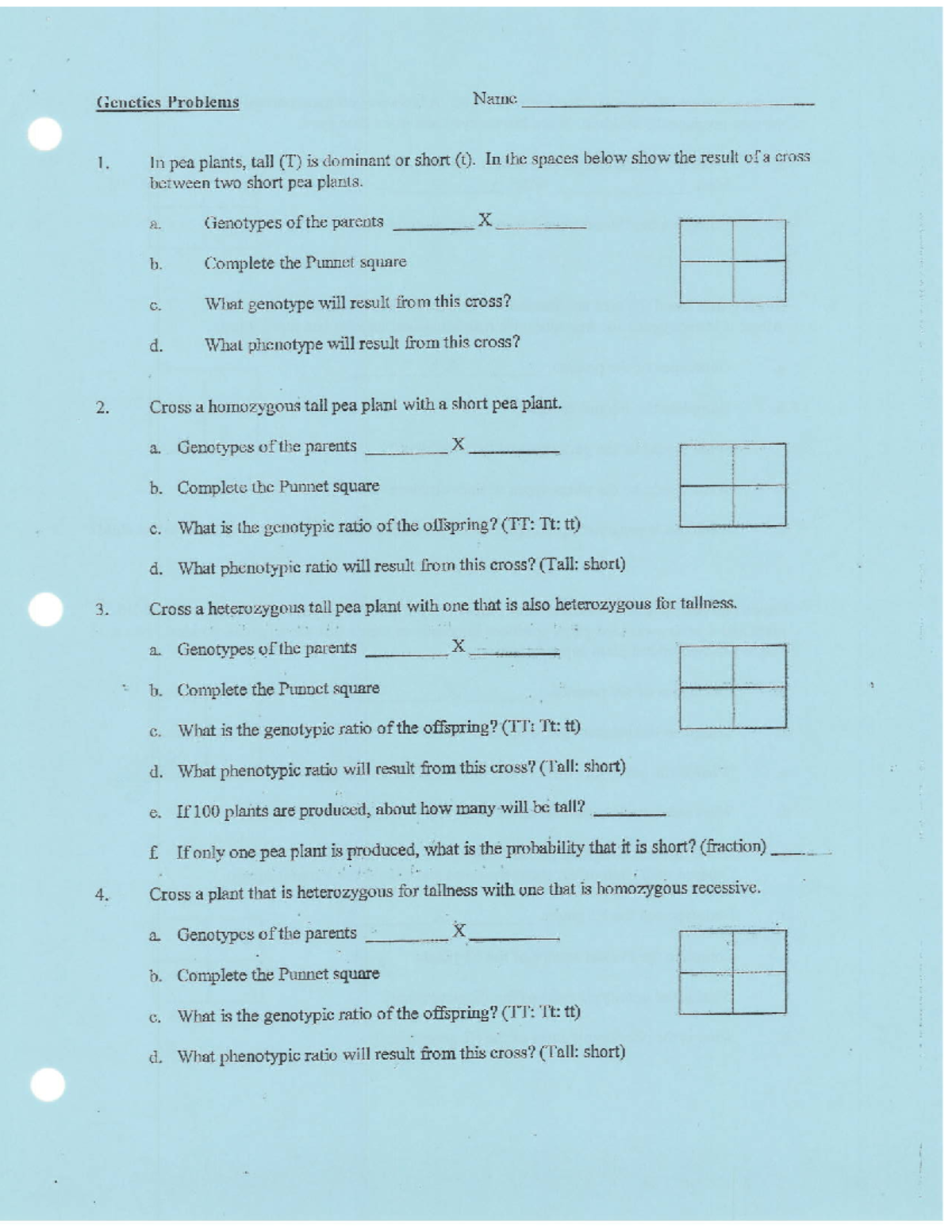 AP Bio Punnett Square Worksheet - Warning: decodeScan - unexpected MCU ...