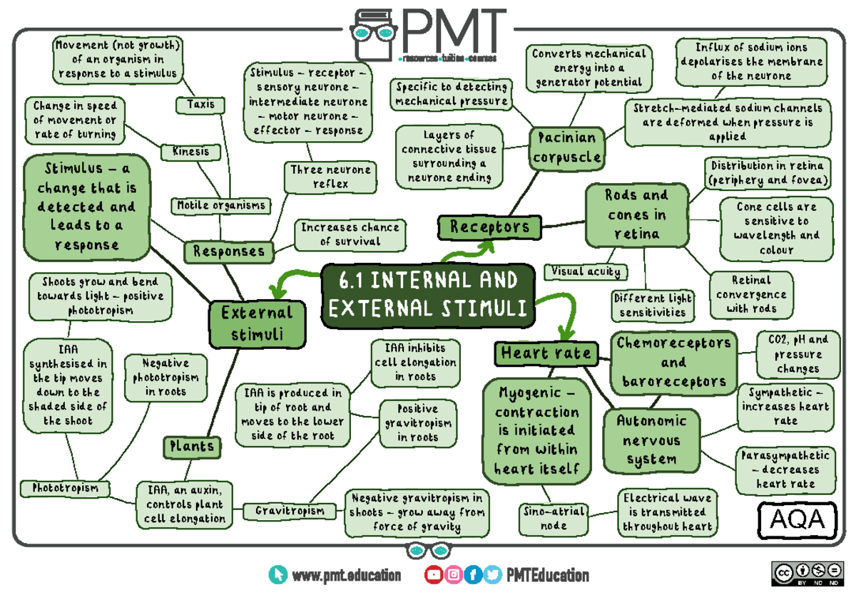 6.1 Internal and External Stimuli - Receptors External stimuli 6 ...