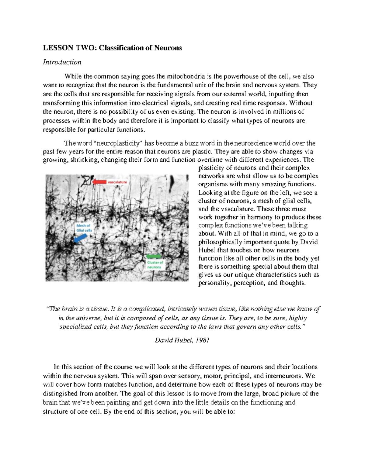 Lectute 2: Classification of Neurons Notes - LESSON TWO: Classification ...