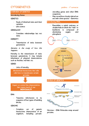 English 1 Q3 Mod1 Recognizing Rhyming Words In Nursery Rhymes Poems And ...