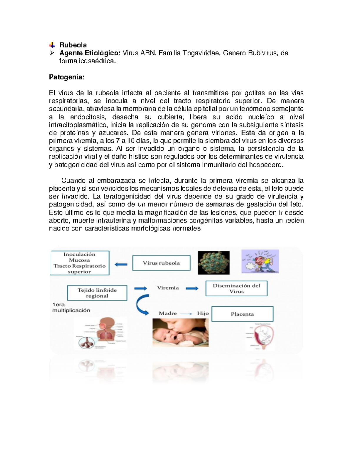 Rubeola - Rubeola Agente Etiológico: Virus ARN, Familia Togaviridae ...