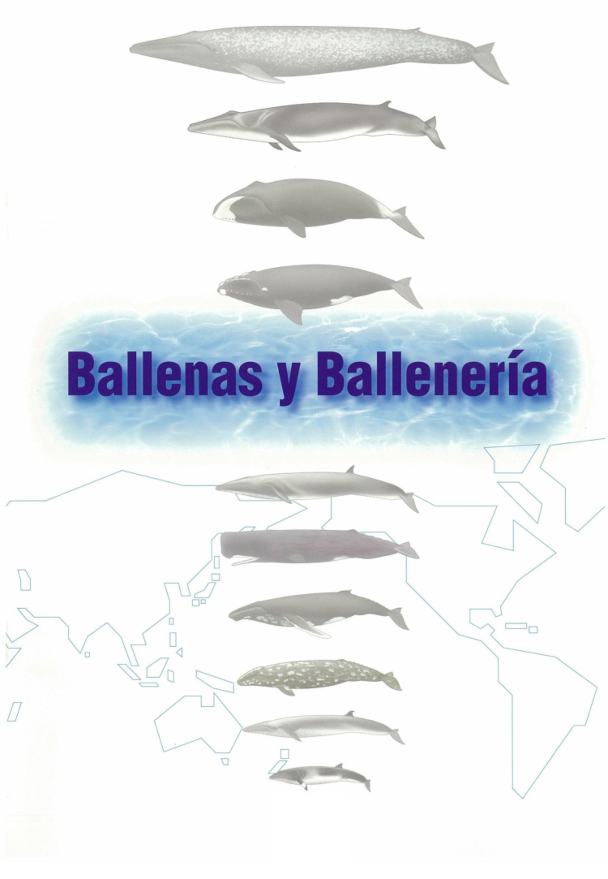 04-B-kesp - ciencia - 鯨の種類 Ejemplos de ballenas de barba Ejemplos de ballenas dentadas Ballena ...