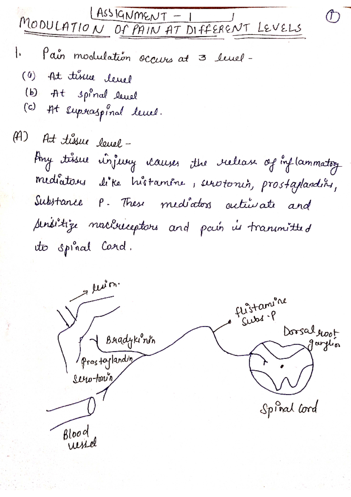 Assignment 1 - Modulation of pain at different levels - pain gate ...