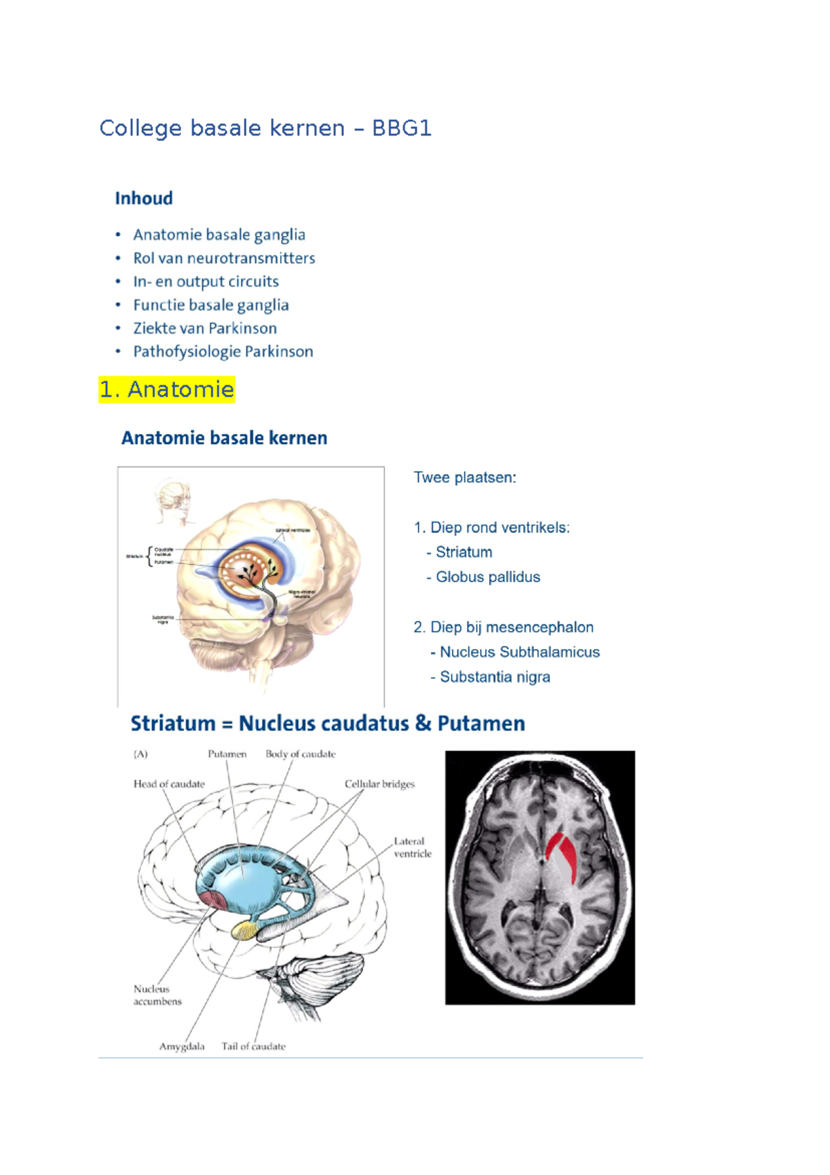 College basale kernen - week 2 - College basale kernen – BBG 1 ...