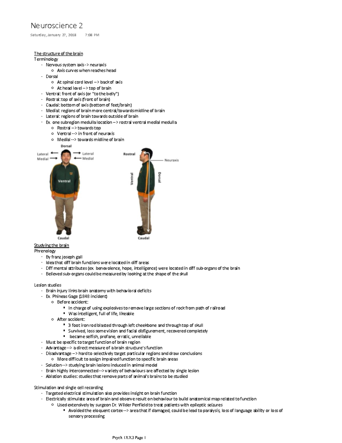 Neuroscience 2 Module Notes Lecture Notes Warning Tt Undefined Function 32 Warning Tt