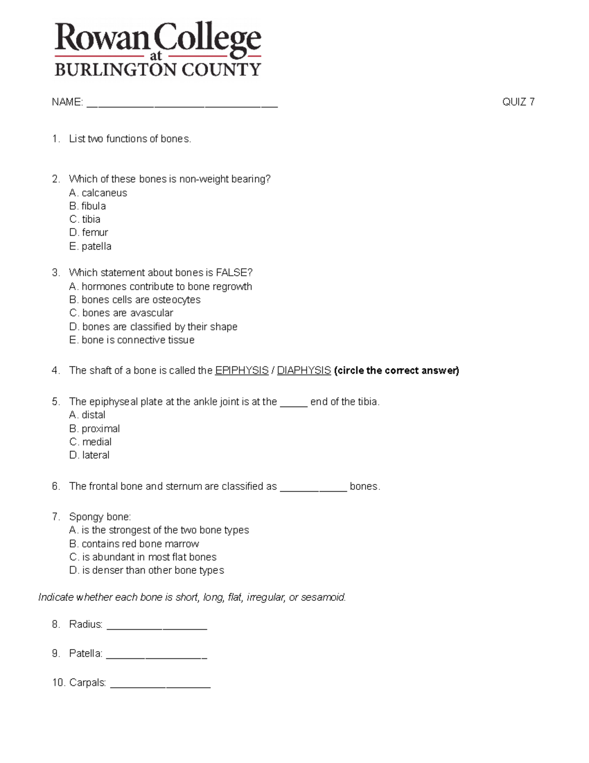 Bone Anatomy Quiz - quiz - NAME ...