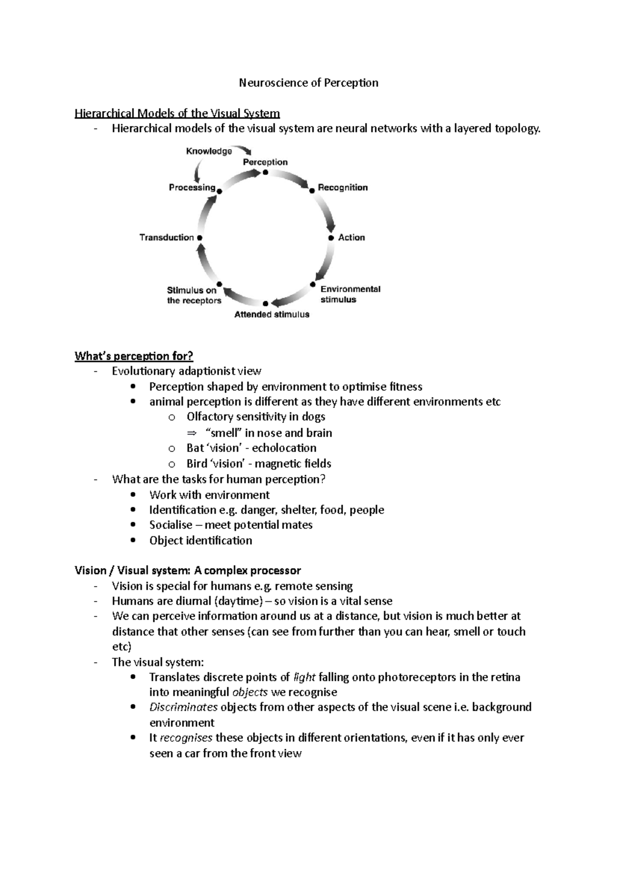 Neuroscience of Perception - Neuroscience of Perception Hierarchical ...