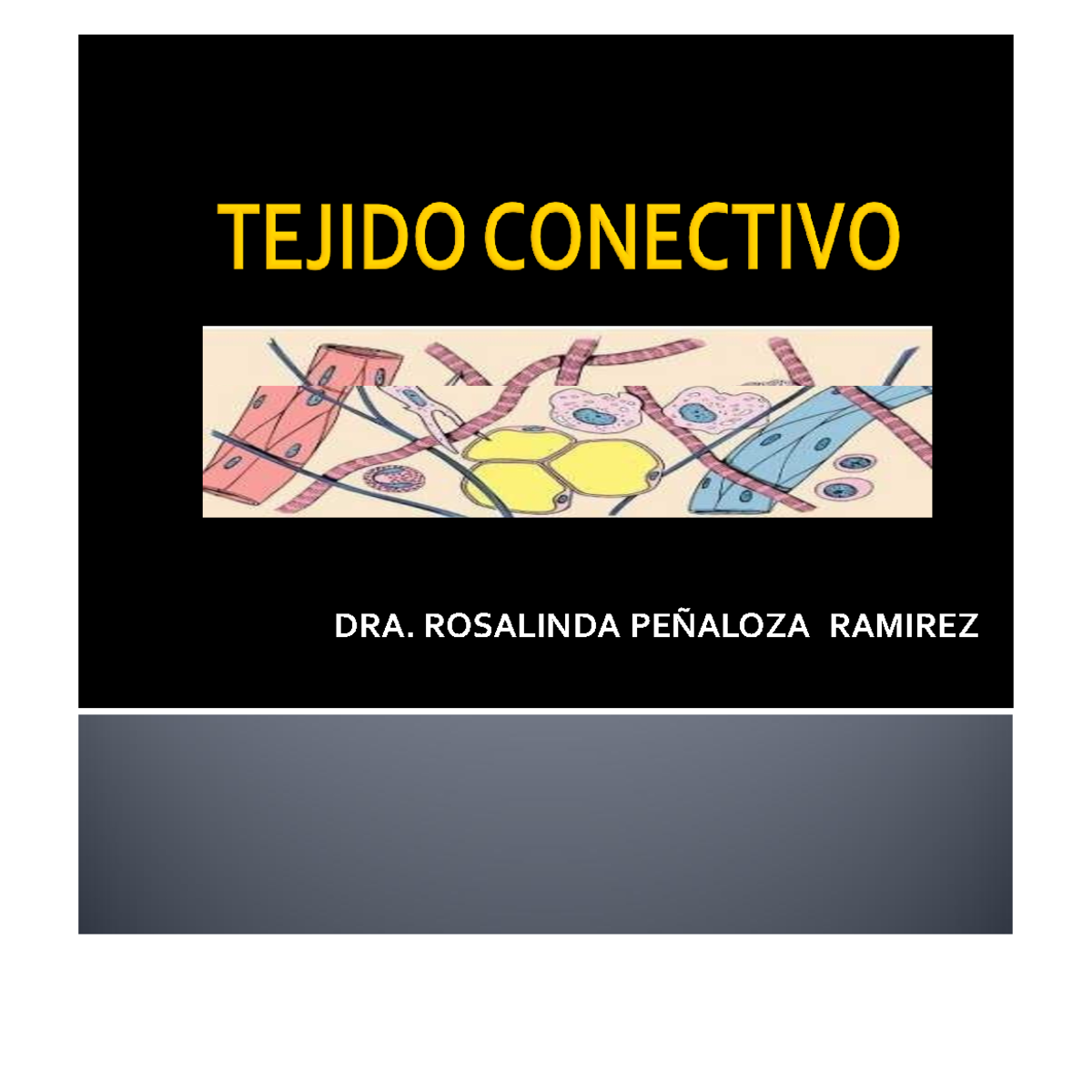 Tejido Conectivo Final - DRA. ROSALINDA PE—ALOZA RAMIREZ El tejido ...