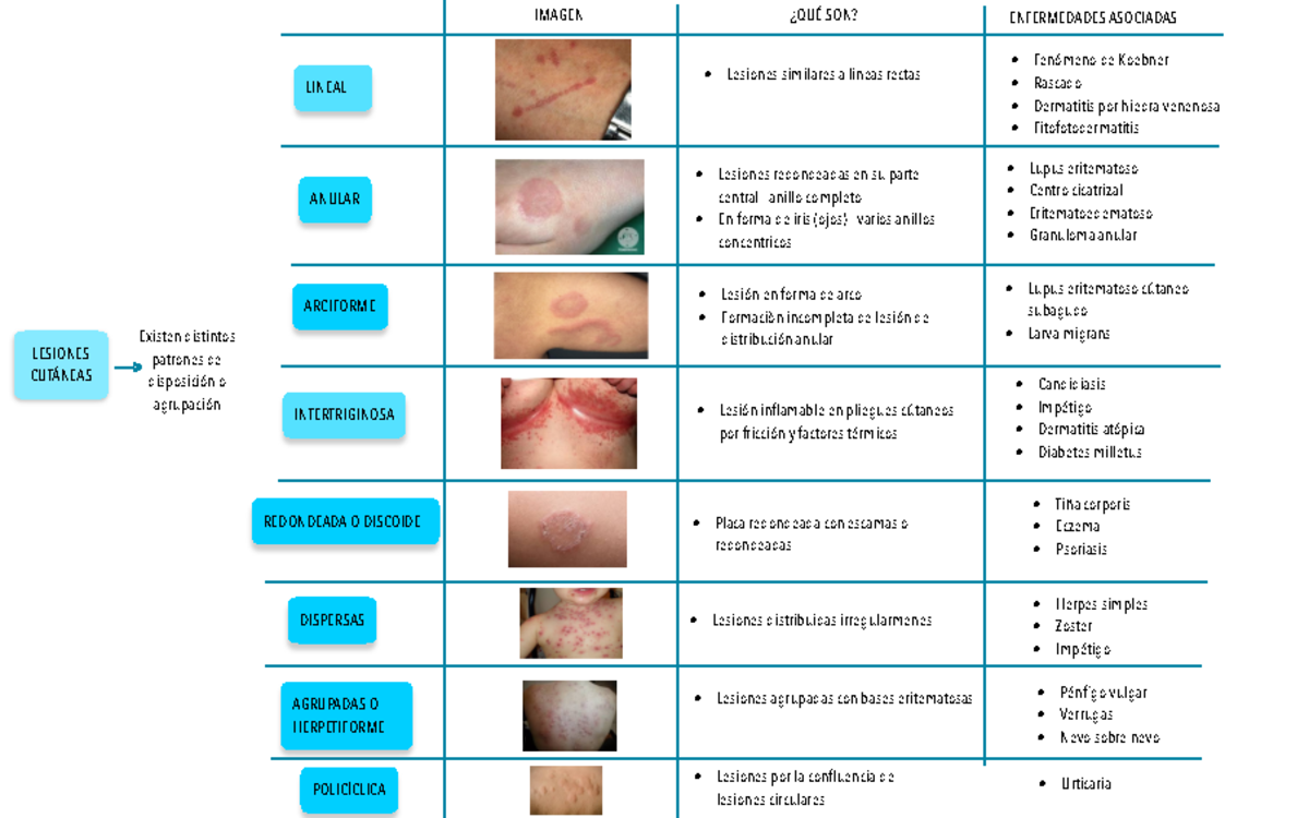 lollolololololonoesdeestecursonoteplagees - LESIONES CUTÁNEAS ...