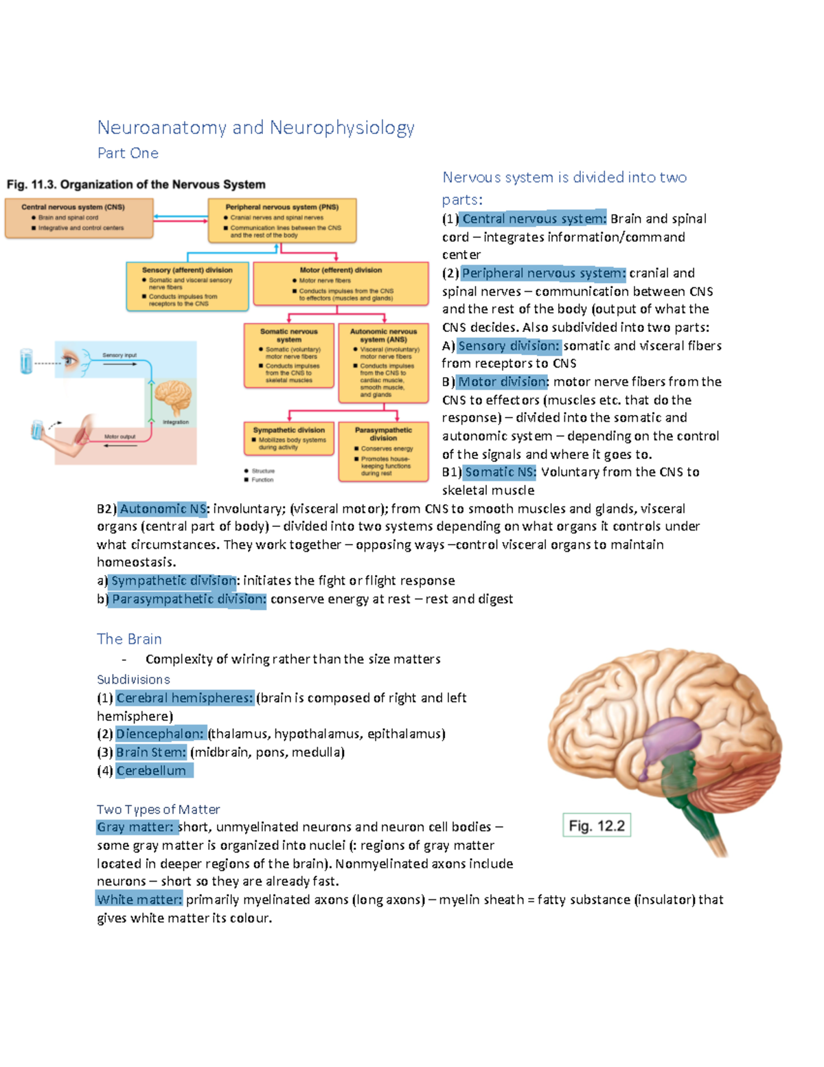Neuroanatomy - Notes - Neuroanatomy and Neurophysiology Part One ...