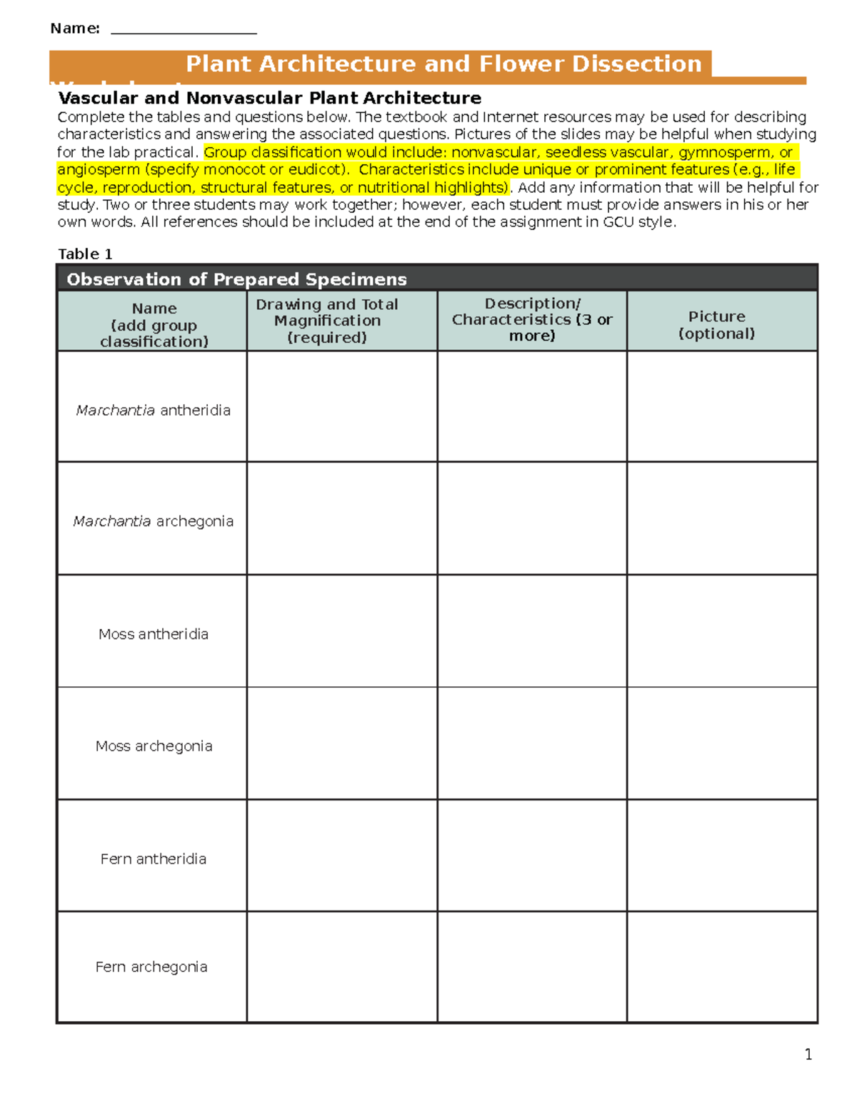 Bio182-04 - worksheet - Vascular and Nonvascular Plant Architecture ...