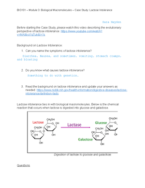 BIO101L Mitosis Part 1 - classwork - Exercise 1 Observation of Mitosis ...