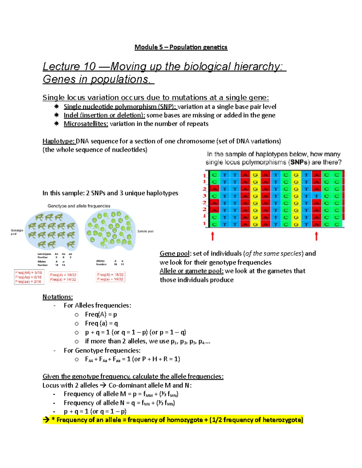 Module 5 - Lectures 10 - 11 - Module 5 – Population genetics Lecture 10 ...