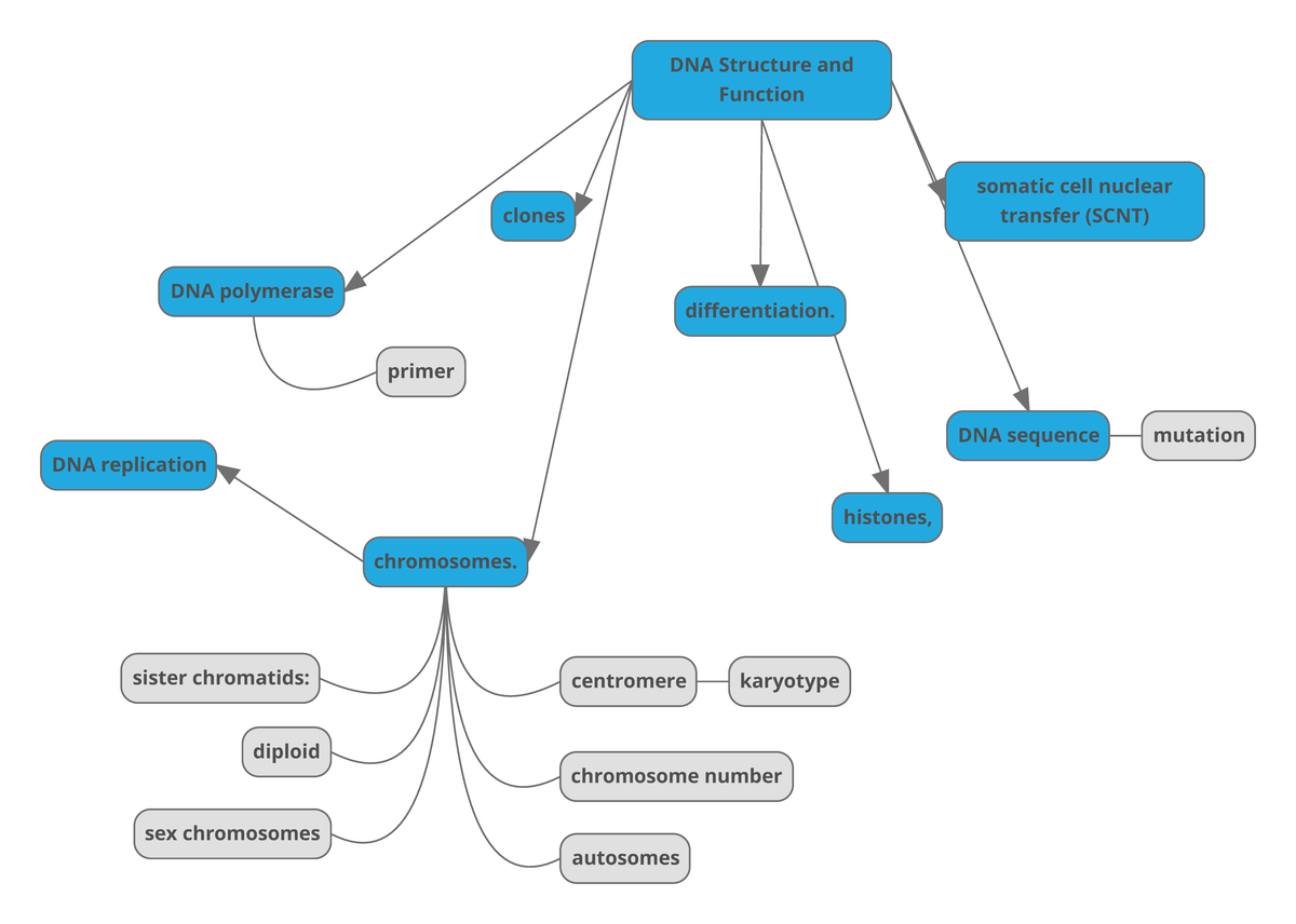 Concept map 4 - BIO 181 - DNA Structure and Function clones somatic ...