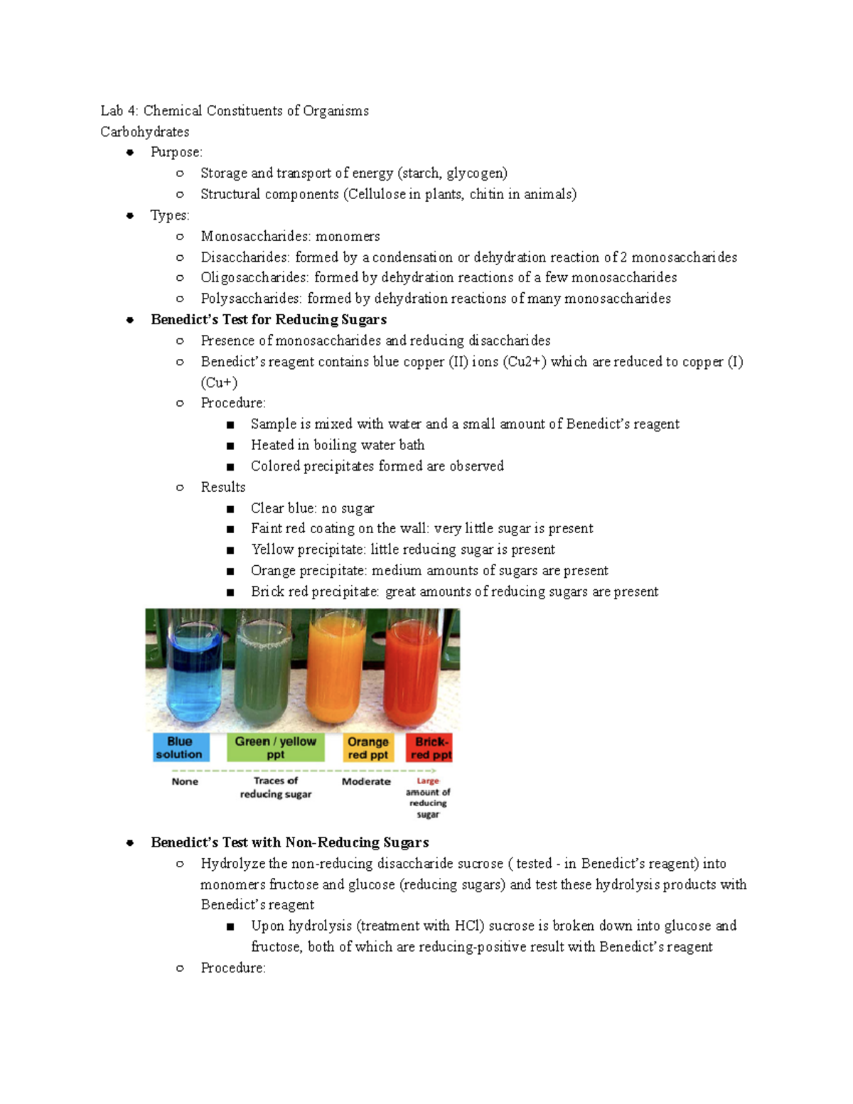 Lab Exam 1 Biology Notes - Lab 4: Chemical Constituents of Organisms ...