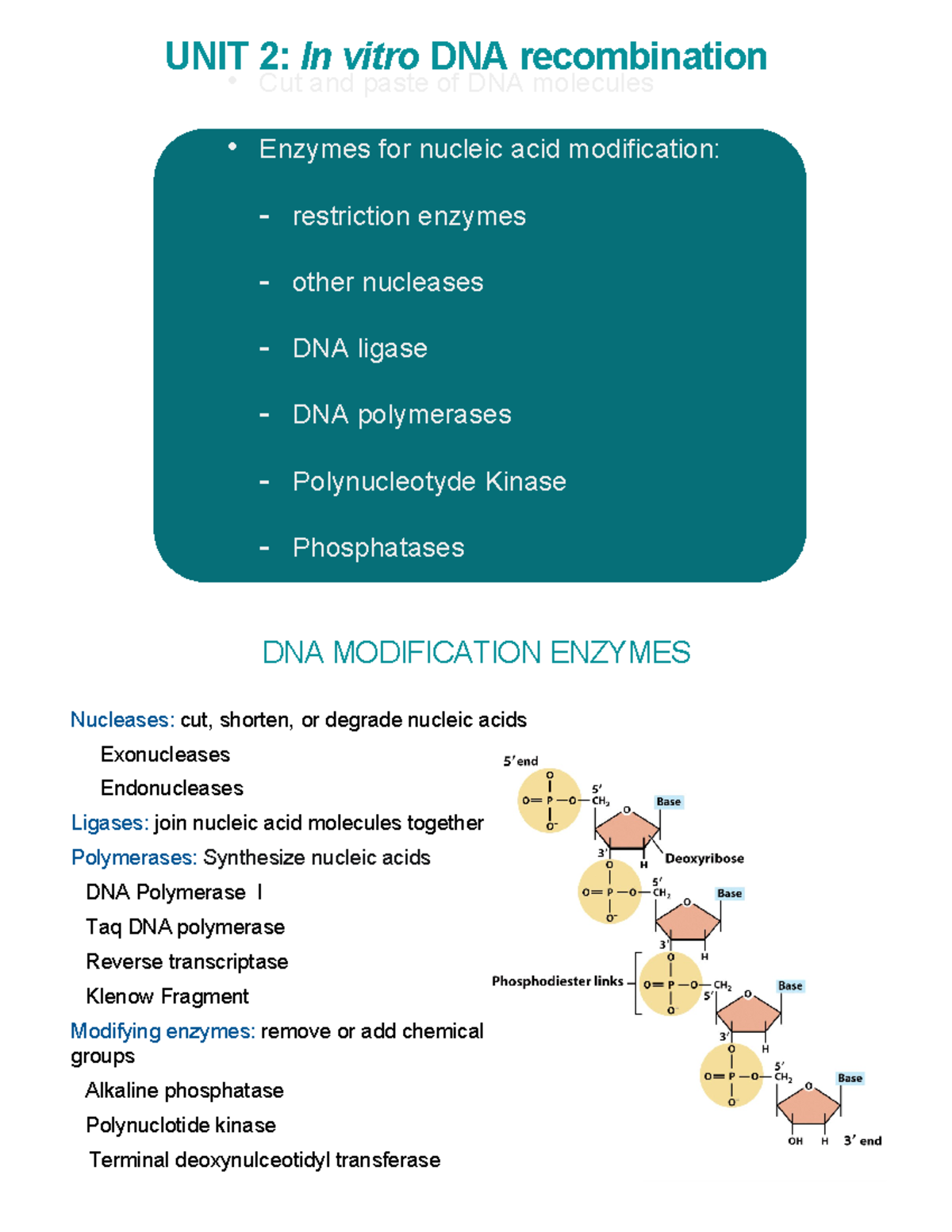 Unit 2 ge - • Cut and paste of DNA molecules • Enzymes for nucleic acid ...