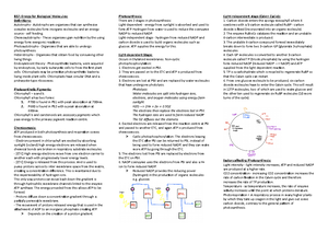 Transport in animals - Notes covering OCR A chapter A LEVEL ...