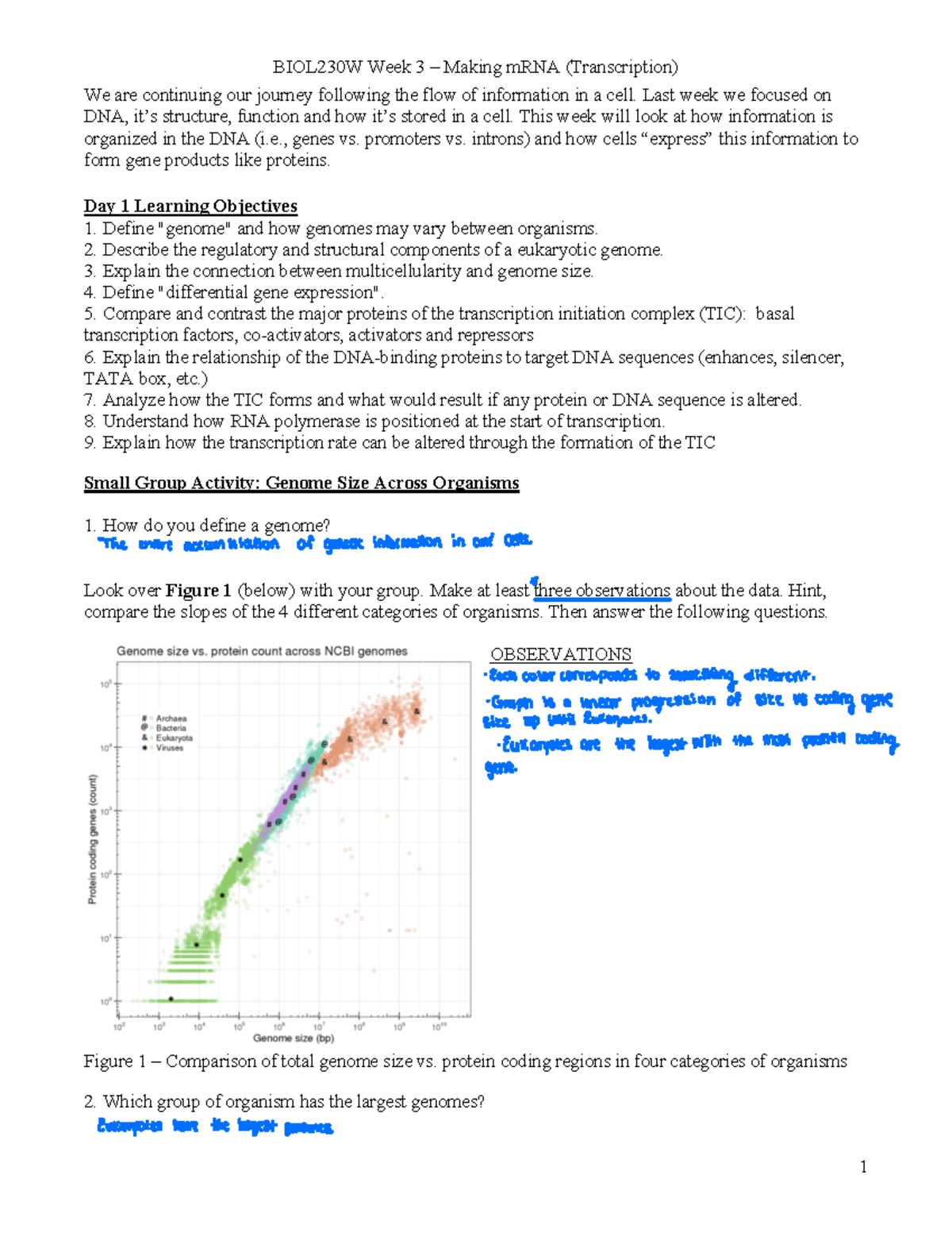 Week 3 packet - We are continuing our journey following the flow of ...