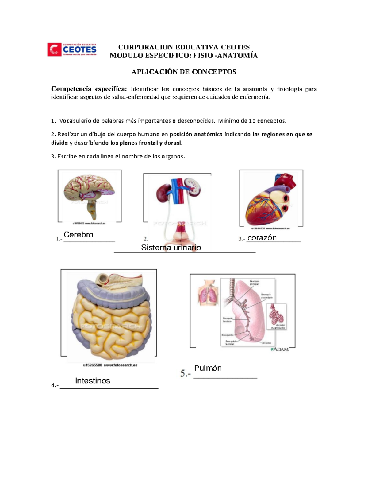Aplicación DE Conceptos - CORPORACION EDUCATIVA CEOTES MODULO ...