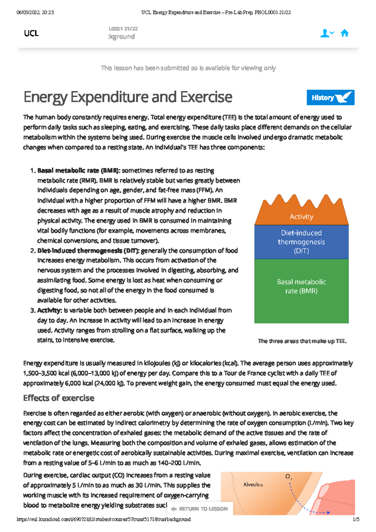 UCL Energy Expenditure and Exercise – Pre-Lab Prep, PHOL0001 21 22 - 20 ...