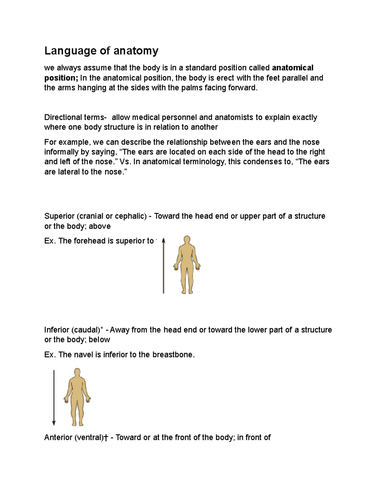 Language of anatomy - Lecture notes 1 - Language of anatomy we always ...