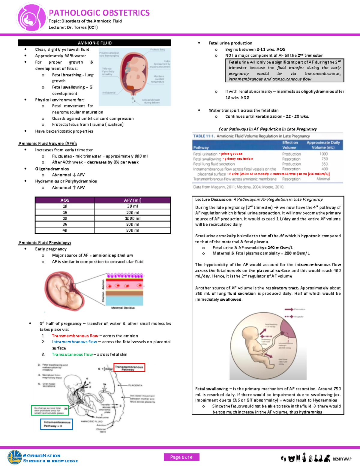 OB - Disorders of the Amniotic Fluid (CCT) - Page 1 of 6 Topic ...