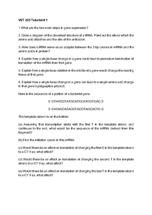 VET 125 Carbohydrate Metabolism Tutorial Student - VET 125 Carbohydrate ...