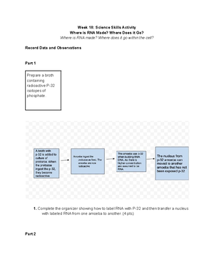 Maths Stage 6 01 MS 4RP AFP tcm142-639575 - 3130_01_MS_4RP © UCLES 2022 ...