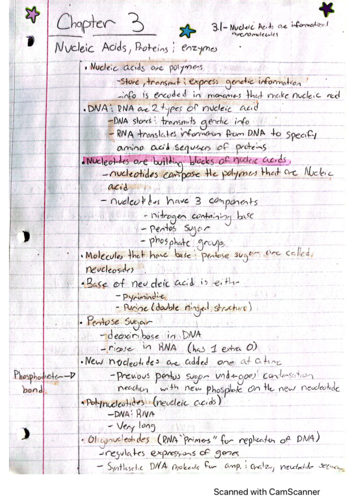 AP Bio Chapter 3 - Studocu