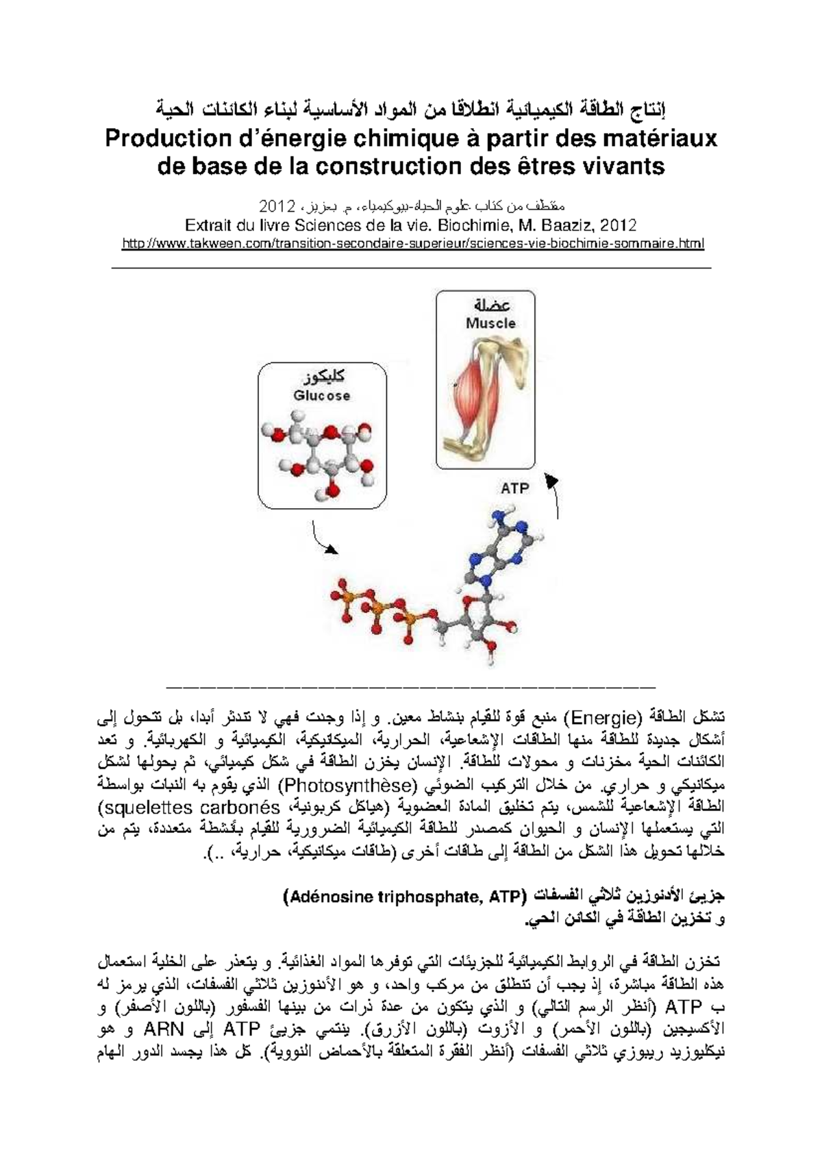 Energie-ATP - cours resumé biochimie structurale - ت ا ء ا واد ا ن ا ...