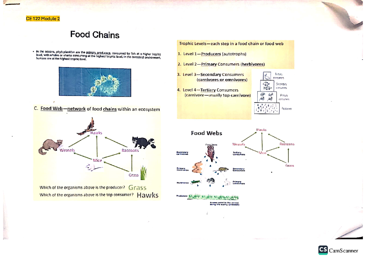 ENVI-SCI - CE 122 Module 2 Food Chains Trophic step in a food chain or ...
