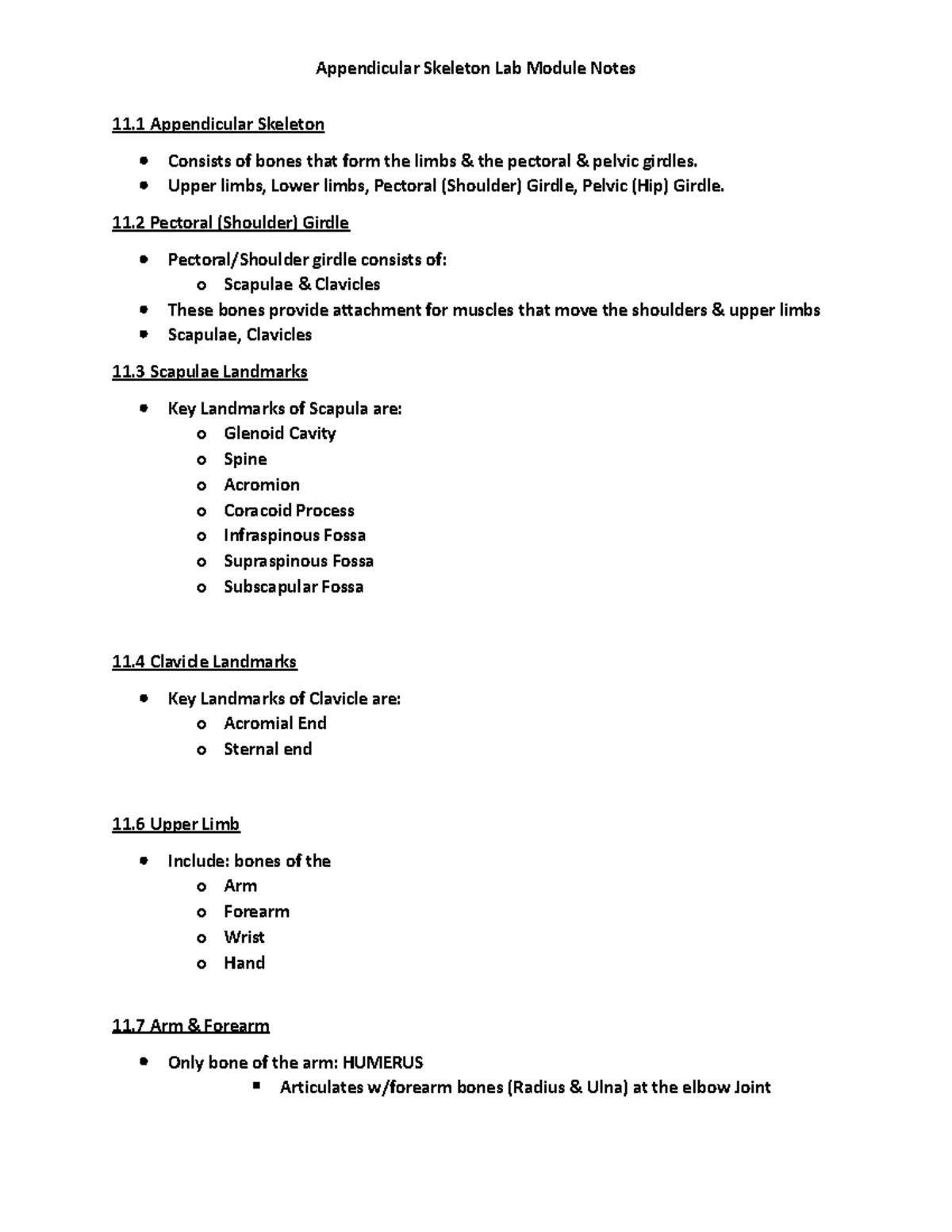 Appendicular Skeleton LAB Notes - 11 Appendicular Skeleton Consists of ...
