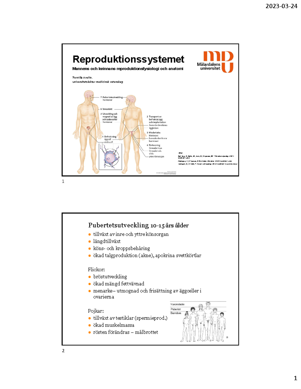 %C3%85h%C3%B6rarkopior+Reproduktionsystemet%3B+fysiologi+och+anatomi ...