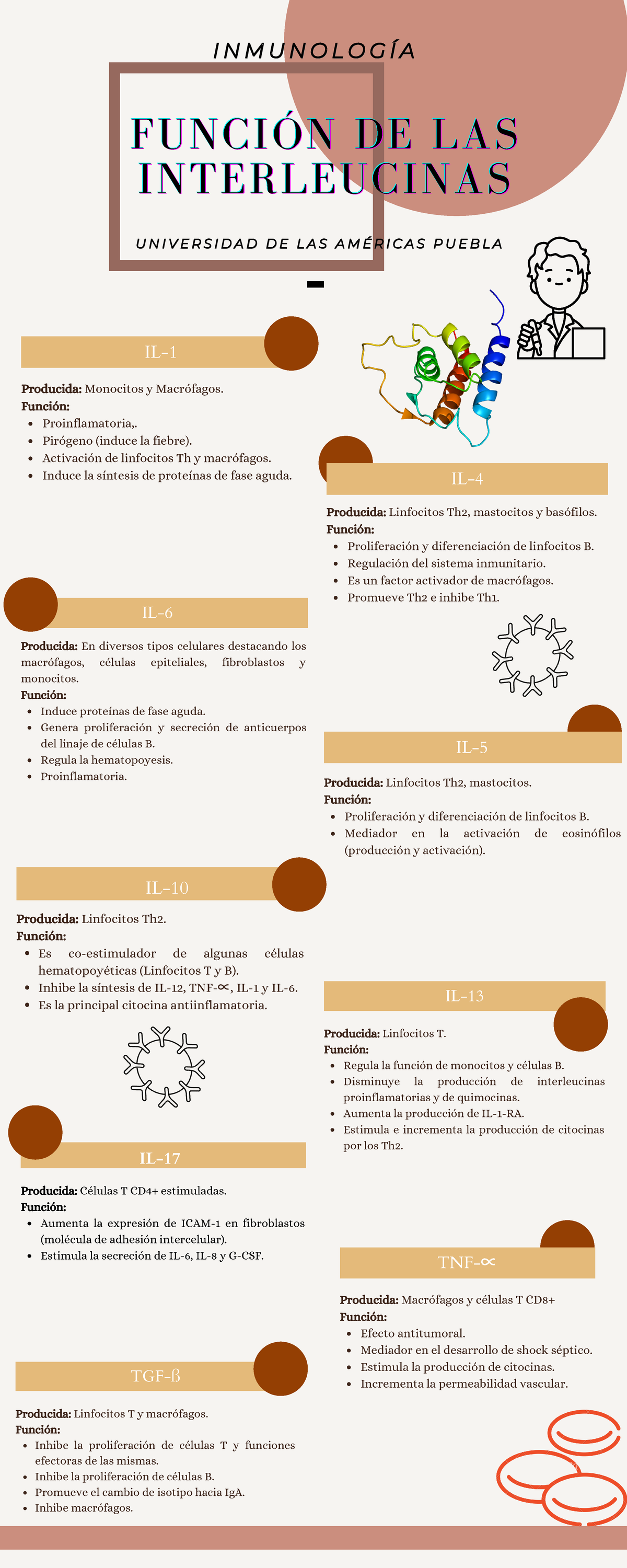 Función de Interleucinas - Proinflamatoria,. Pirógeno (induce la fiebre ...