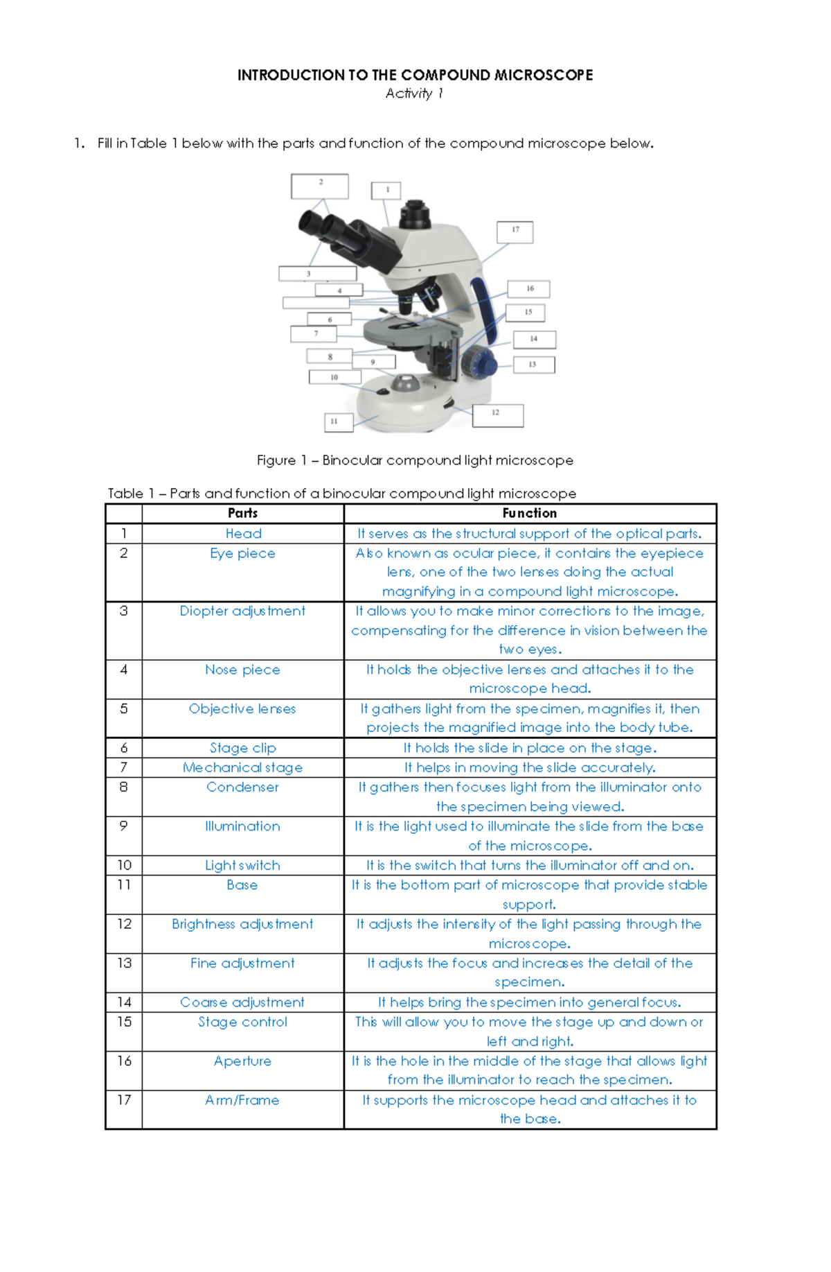 Activity - The Microscope - INTRODUCTION TO THE COMPOUND MICROSCOPE ...