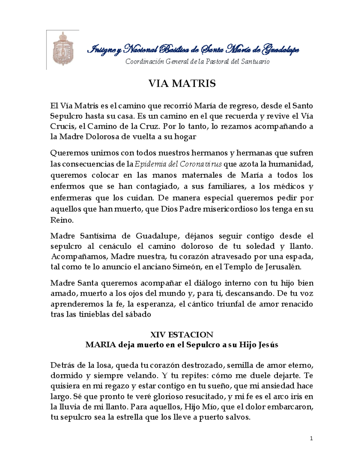 VIA Matris 2020 INBG - Insigne y Nacional Basílica de Santa María de ...