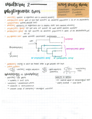Bio 94 Quiz #2 Cheat Sheet - Allopatric v Sympatric Speciation: - Two ...