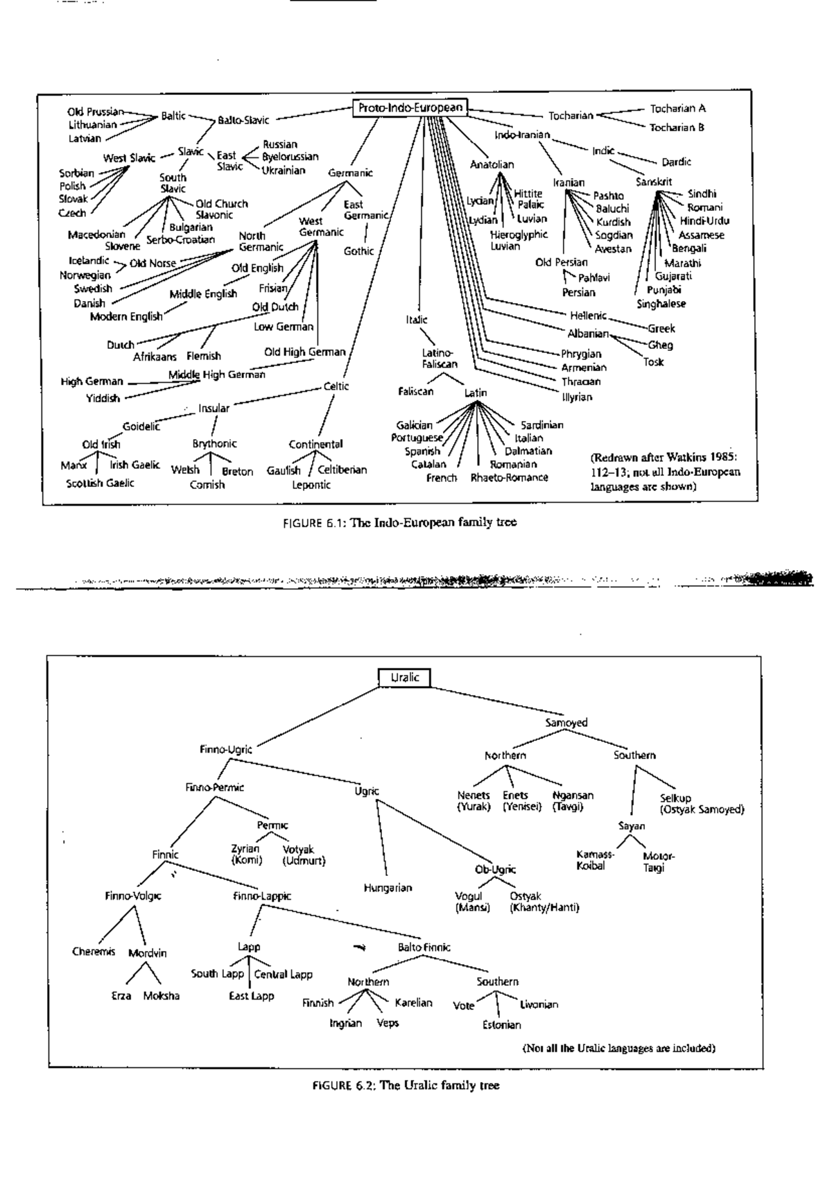 Family trees IE Uralic - Historia da Lingua Inglesa - Studocu