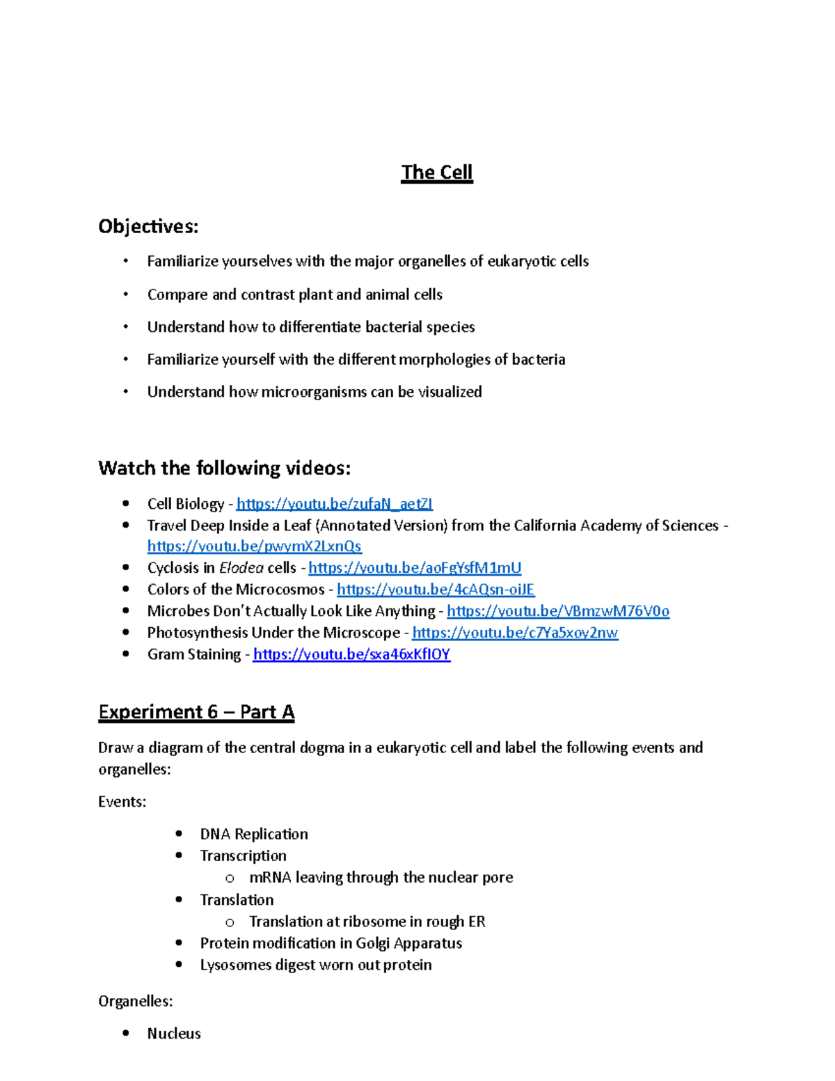 The Cell - The Cell - The Cell Objectives: Familiarize yourselves with ...
