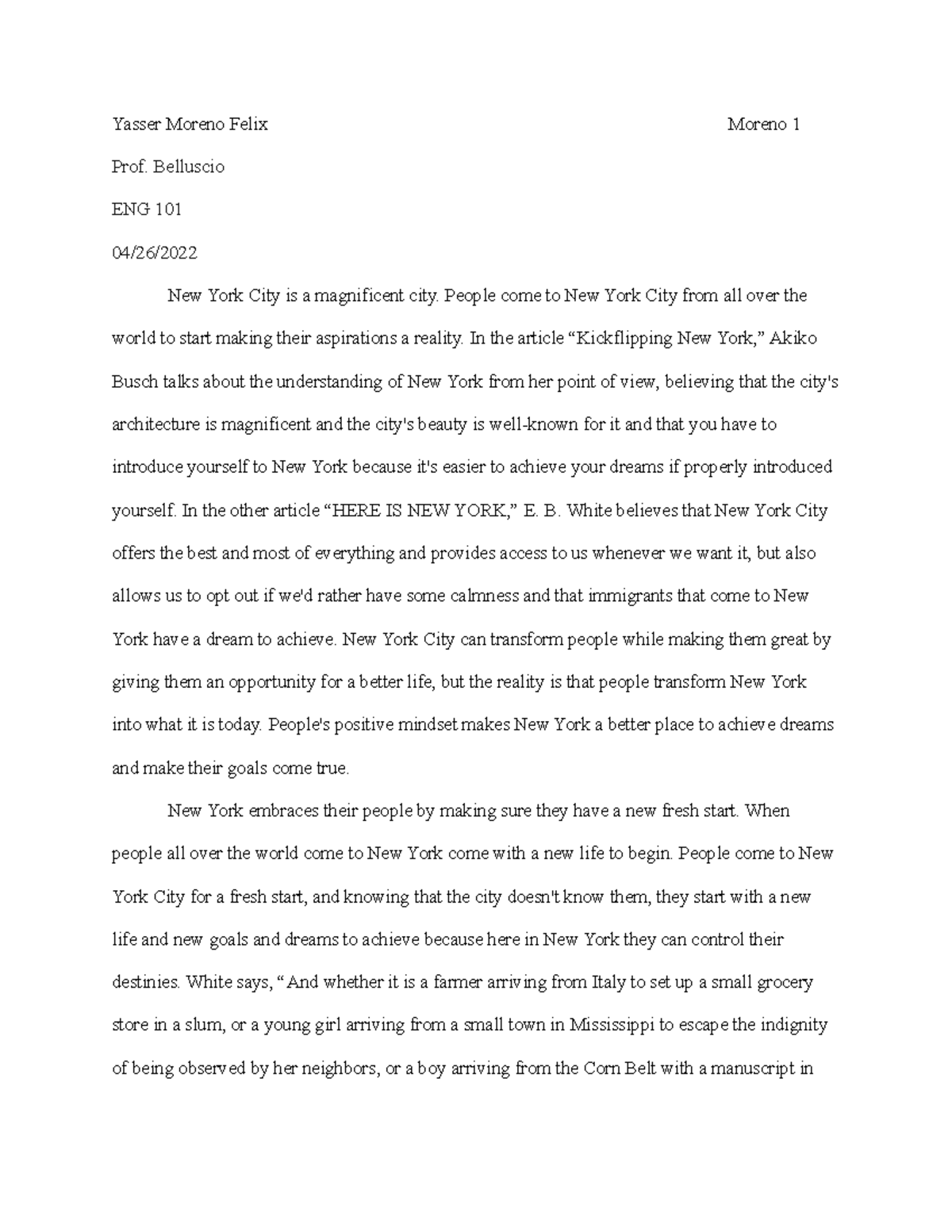 Final Essay pratice - New York City and his people. Why is NYC so ...