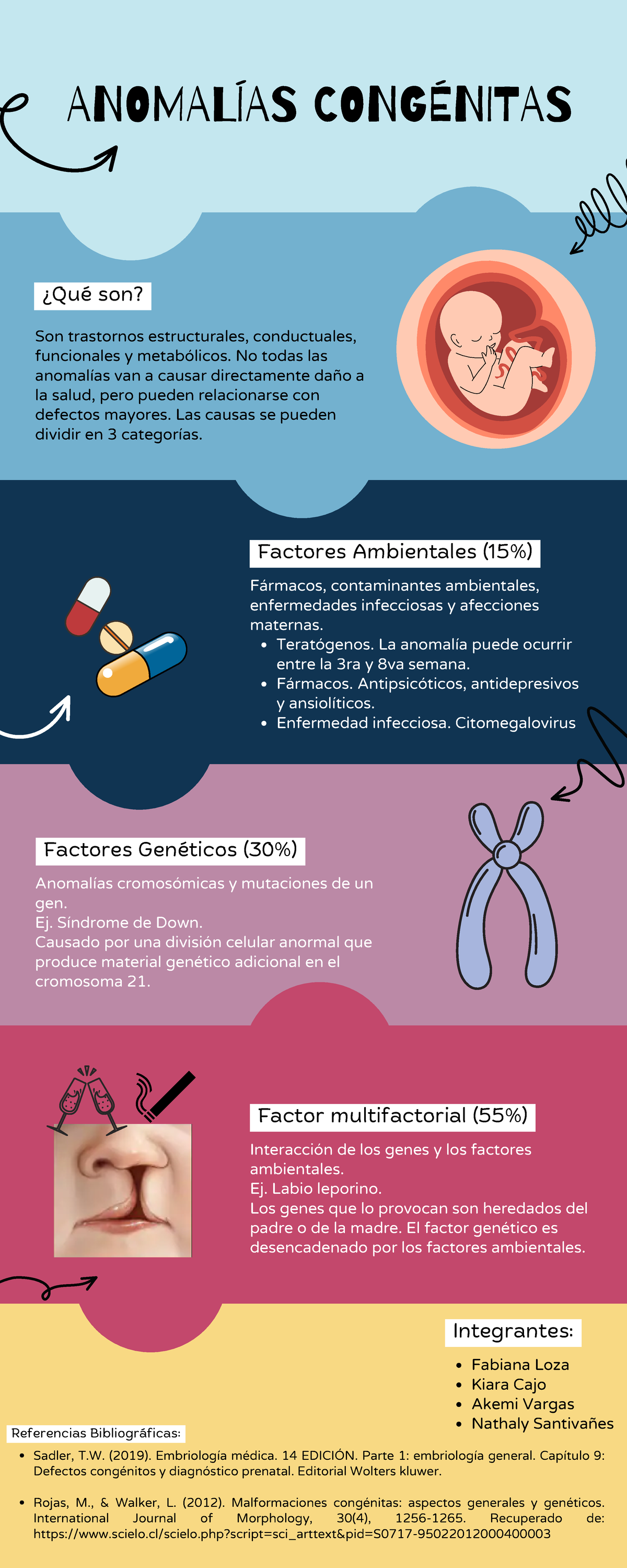 Anomalías congénitas - ANOMALÍAS CONGÉNITAS ¿Qué son? Son trastornos ...